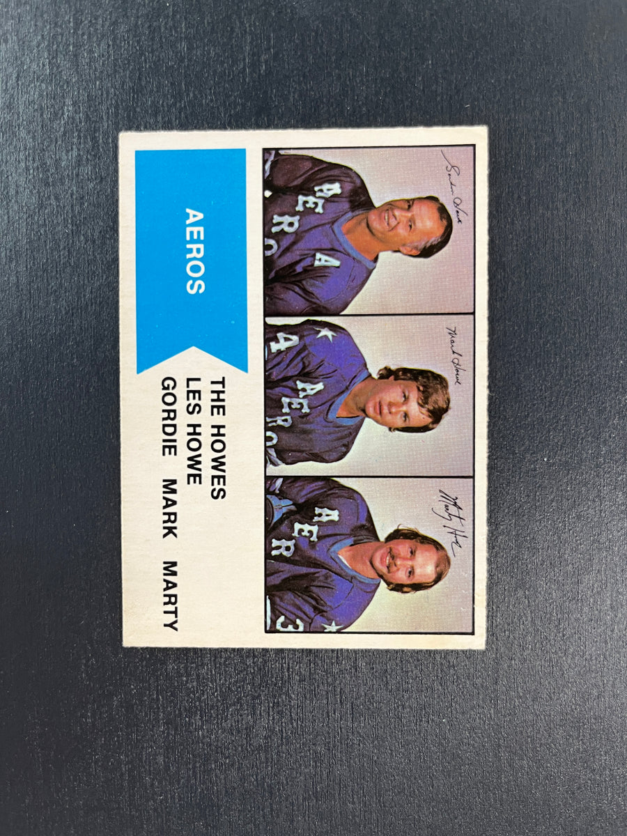 1974-75 O-PEE-CHEE WHA HOCKEY COMPLETE SET - 74-75 OPC SET – Joe Daley ...