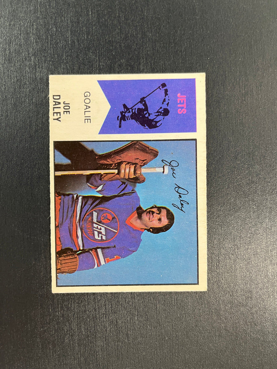 1974-75 O-PEE-CHEE WHA HOCKEY COMPLETE SET - 74-75 OPC SET – Joe Daley ...